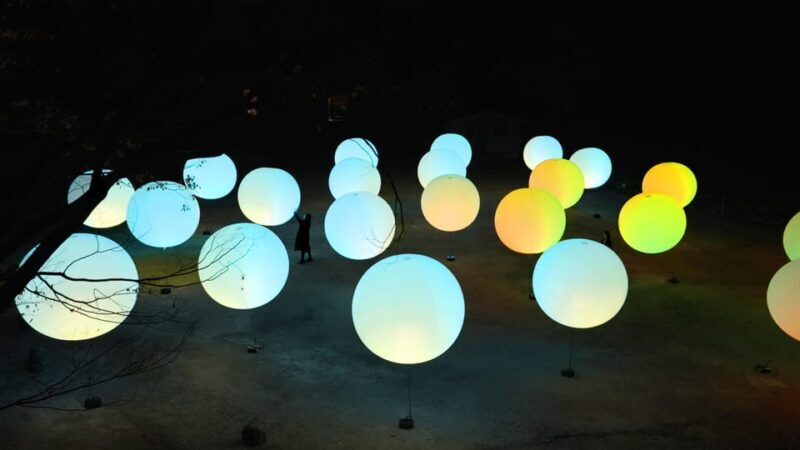 Osaka: teamLab Botanical Garden Entry Ticket - What the Reviews Say