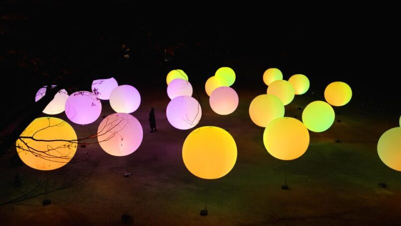 Osaka: teamLab Botanical Garden Entry Ticket - Who Should Consider This Tour?