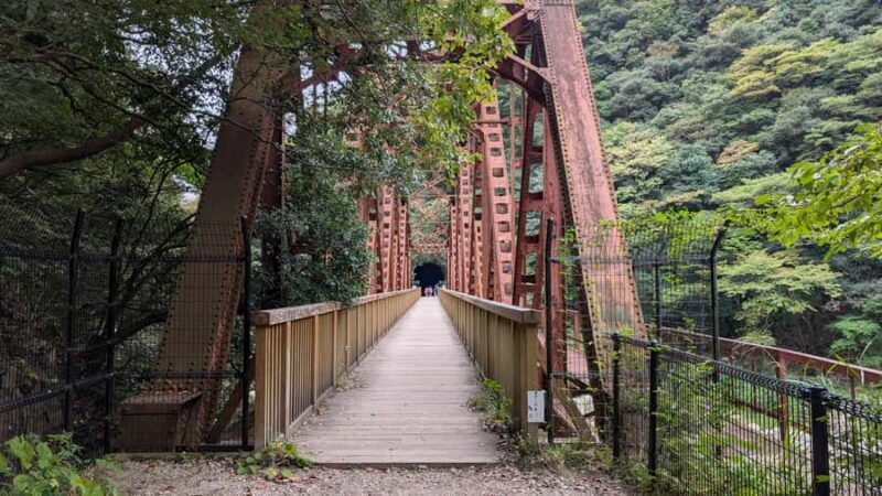 Osaka The Fukuchiyama Abandoned Railway Hike - What the Reviews Say