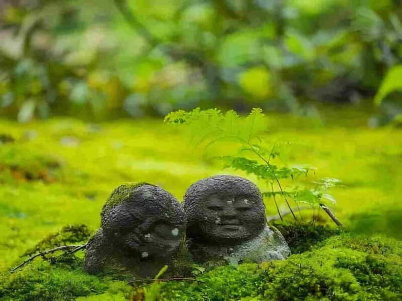 Osaka to Kyoto: Arashiyama Bamboo Grove Small Group Tour - Osaka to Kyoto: Arashiyama Bamboo Grove Small Group Tour