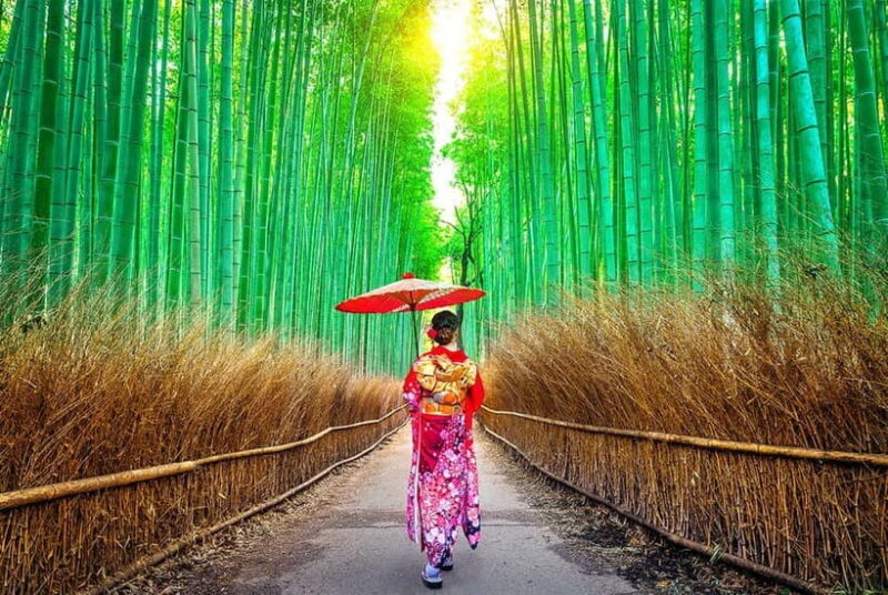 Osaka to Kyoto: Arashiyama Bamboo Grove Small Group Tour - Key Points