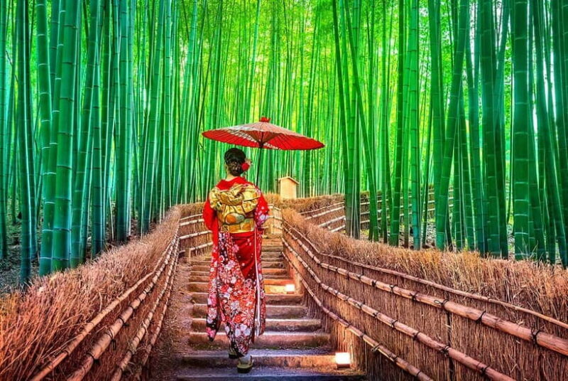 Osaka to Kyoto: Arashiyama Bamboo Grove Small Group Tour - The Practicalities and Logistics