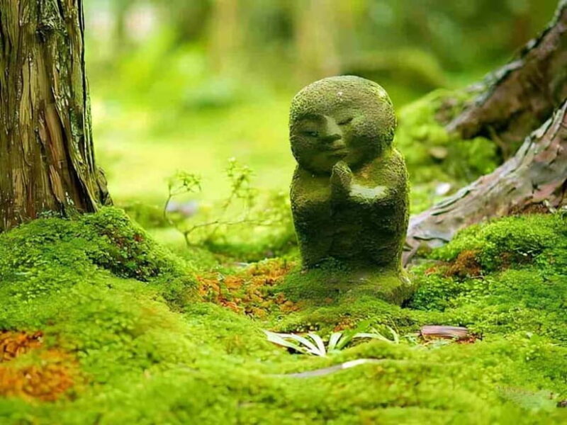 Osaka to Kyoto: Arashiyama Bamboo Grove Small Group Tour - Who Is This Tour Best For?