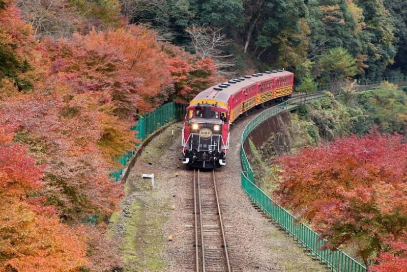 Osaka to Kyoto: Arashiyama Bamboo Grove Small Group Tour - FAQs