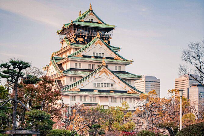 Osaka to Nara Park Private Day Trip with English Driver - Who Will Enjoy This Tour?