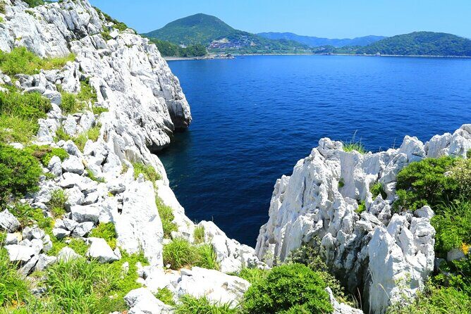 Osaka to Wakayama, Japan One-Day Chartered Tour - The Experience in Detail: What to Expect