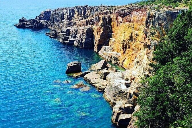 Osaka to Wakayama, Japan One-Day Chartered Tour - What Travelers Say About Similar Experiences