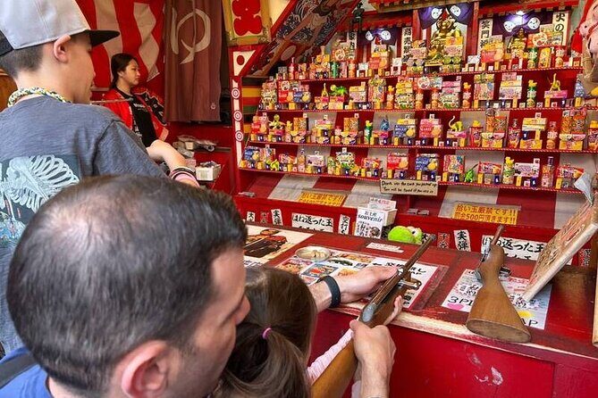 Osaka Tour Tailored Options to Your Desires with An expert Guide - Who Should Consider This Tour?