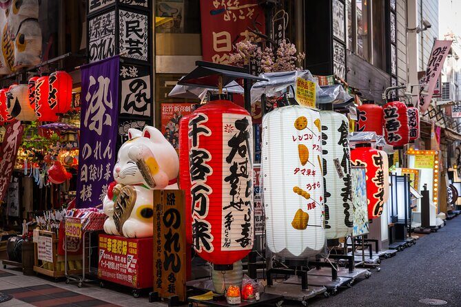 Osaka Unveiled: A Self-Guided Journey Through Japan's Kitchen - Who Is This Tour Best For?