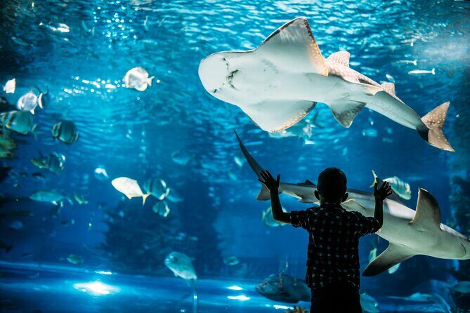 Osaka Unveiled: A Self-Guided Journey Through Japan's Kitchen - The Sum Up