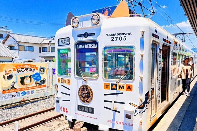 Osaka Wakayama Cat Train, Seafood market, Hot Springs Tour - The Sum Up