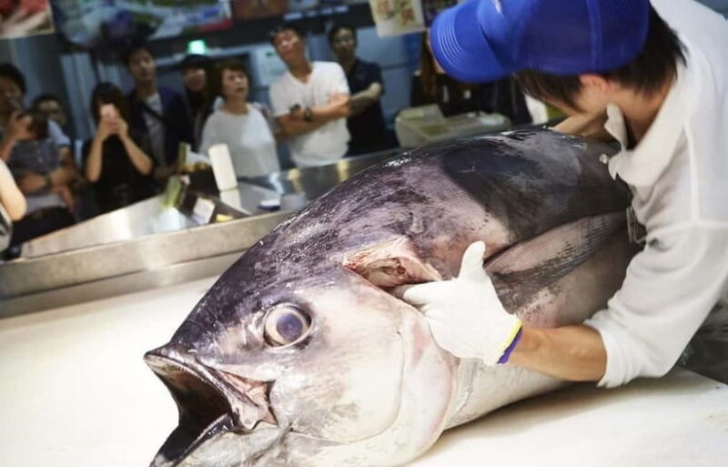 Osaka: Wakayama Cat Train, Seafood market, Hot Springs Tour - Frequently Asked Questions