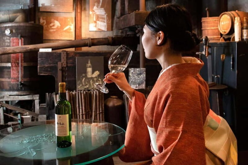 Osaka Winery Tour with Wine Tasting & Vineyard Walk - A Deep Dive into the Tour: Authentic Experience Meets Cultural Heritage