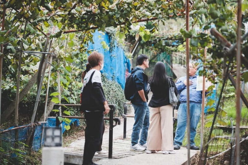 Osaka Winery Tour with Wine Tasting & Vineyard Walk - FAQ