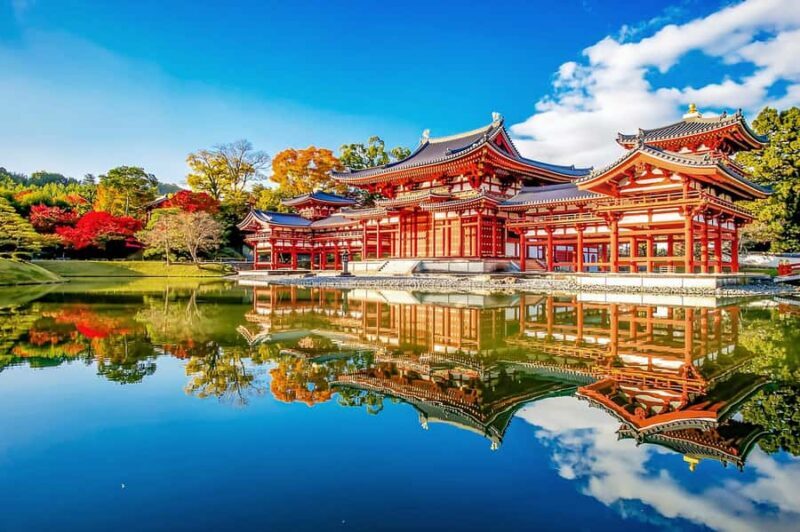 Osaka:Nara & Uji In-depth One-Day TourDeer Feeding - An Introduction to the Tour Experience