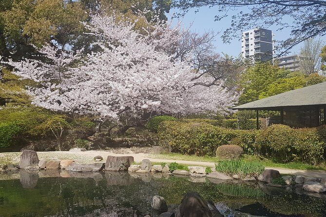 Osaka's Best and Brightest by Private Vehicle - Who Will Appreciate This Tour?