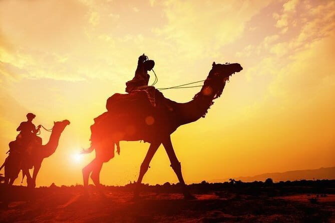 Osian Desert Camel Safari - Osian Desert Camel Safari: An Authentic Rajasthan Experience