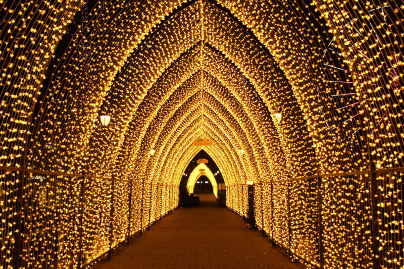 Oslo: 2-hour Christmas Private Walking Tour - A Thorough Look at the Itinerary