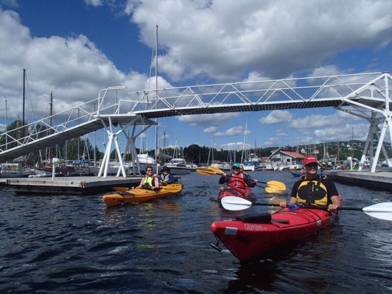 Oslo: 3-hour Kayaking Trip on the Oslofjord - Who Should Consider This Tour?