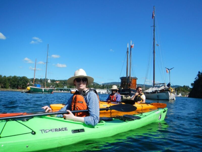 Oslo: 3-hour Kayaking Trip on the Oslofjord - The Sum Up: Is This Tour Right for You?