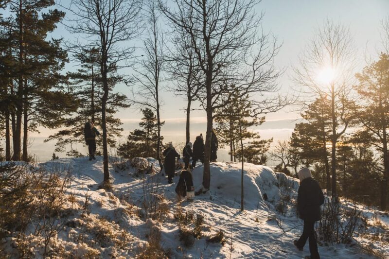 Oslo: Best View of the Oslofjord Winter Edition - Key Points