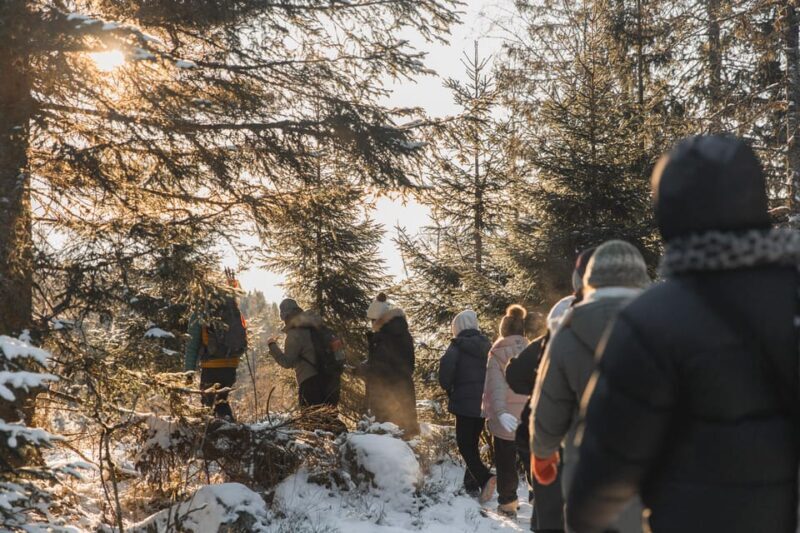 Oslo: Best View of the Oslofjord Winter Edition - The Value and Considerations