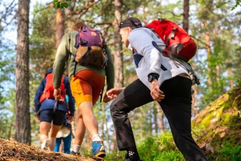 Oslo: Forest Hike with Guide & Husky - The Cabin Stop: Norwegian Cinnamon Buns & Hot Drinks