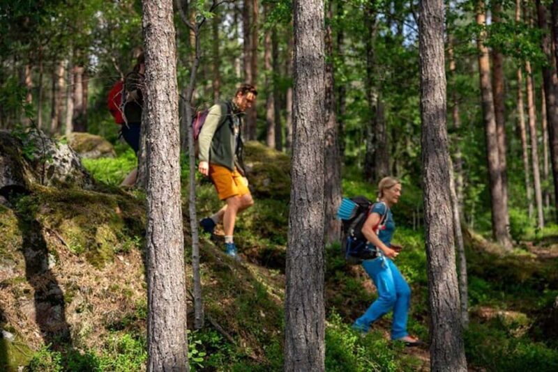 Oslo: Forest Hike with Guide & Husky - Final Thoughts: Why This Tour Stands Out