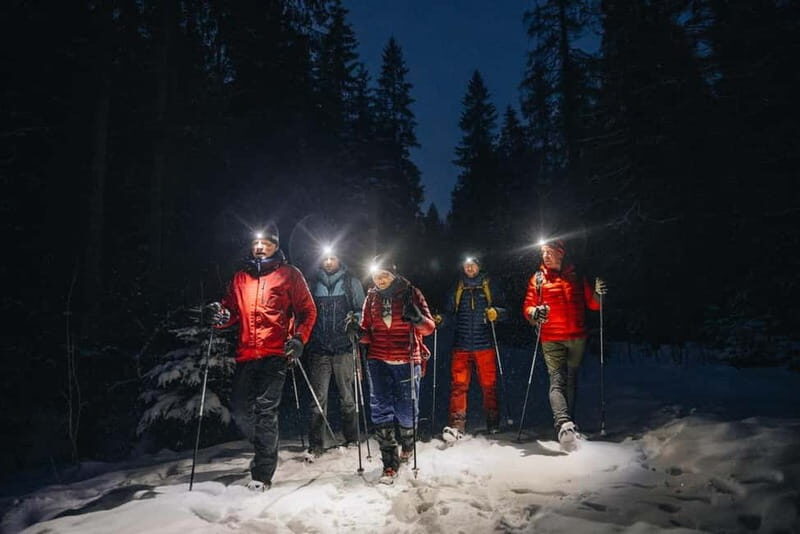 Oslo Forest: Mystery Nocturne Walk with Headlamps - Exploring the Oslo Forest: Mystery Nocturne Walk with Headlamps