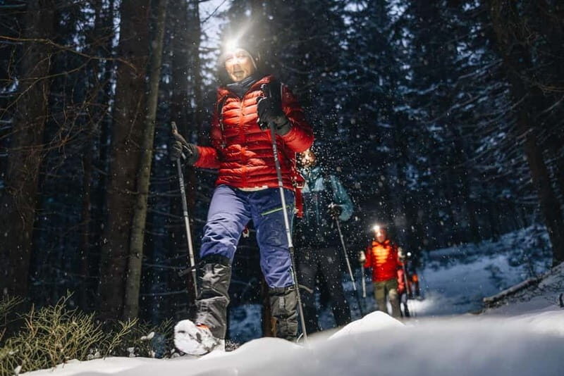 Oslo Forest: Mystery Nocturne Walk with Headlamps - Key Points