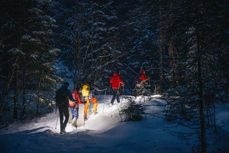 Oslo Forest: Mystery Nocturne Walk with Headlamps - What’s Included and What You Should Know