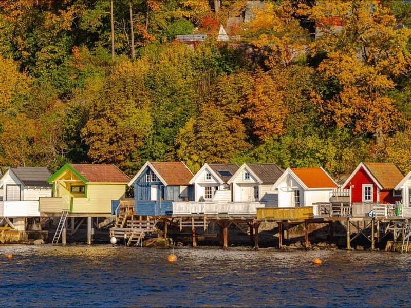 Oslo: Guided Sightseeing Fjord Cruise on Premium Silent Boat - Who will love this cruise?