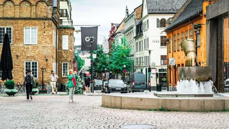 Oslo: Highlights, Vigeland Park & Fram Museum Private Tour - The Sum Up
