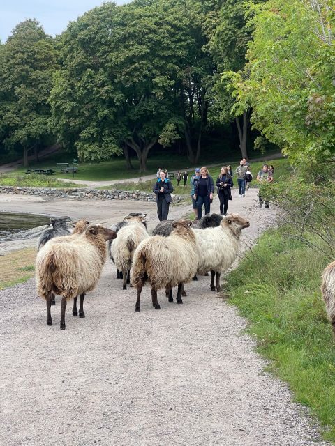 Oslo Island Walks: Island Hopping Tour - Introduction: A Unique way to see Oslo’s surrounding islands
