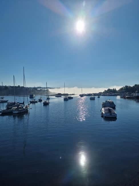 Oslo: Malmøya Island Guided Hike with Waffle and Drink - Who Should Consider This Tour?