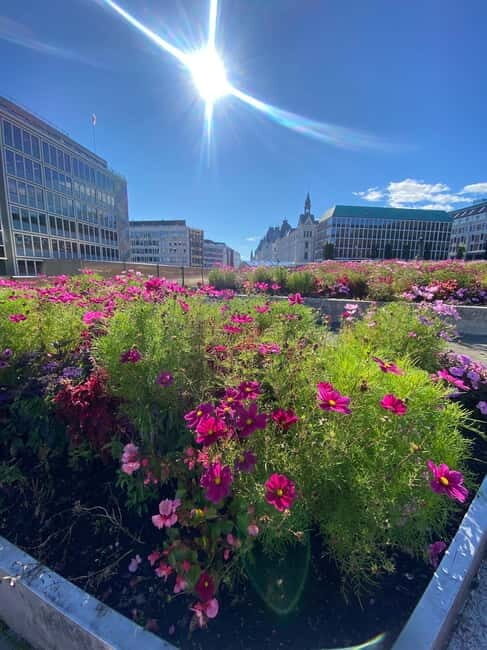 Oslo: Private Walking Tour _City Highlights & Hidden Gems - Practical Details: Timing, Meeting Spots, and Accessibility