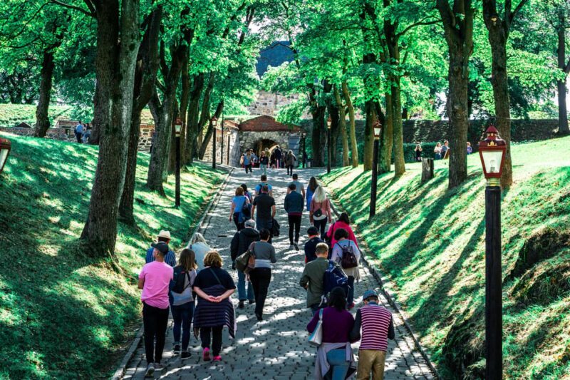 Oslo: Private Walking Tour - Reviews and Reputation