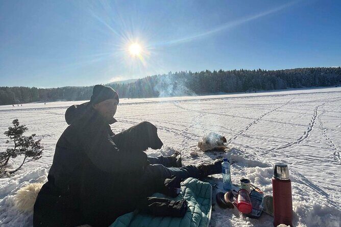 Oslo: Scenic Forest Hike with Dog & Local Guide - The Overall Value: Is It Worth the Price?