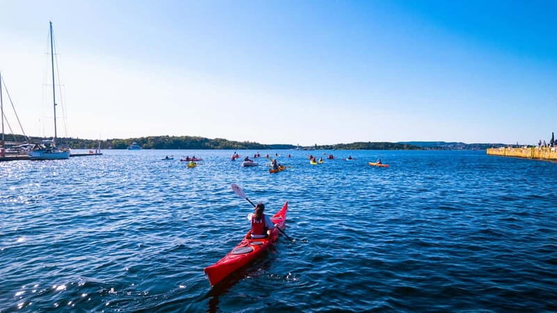 Oslo Sea Kayak Tour Fjord City - Who Will Love This Tour?