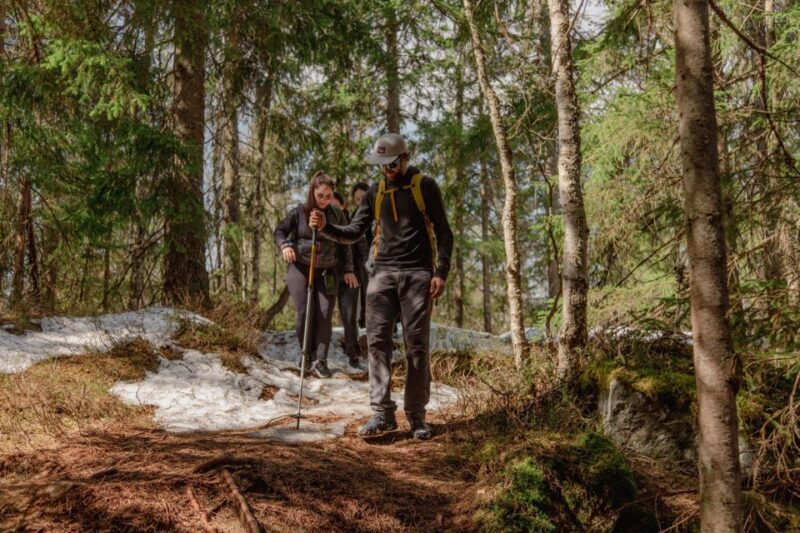 Oslo: Skjennungstoppen Wildlife Forest Hiking Tour - Why This Tour Stands Out
