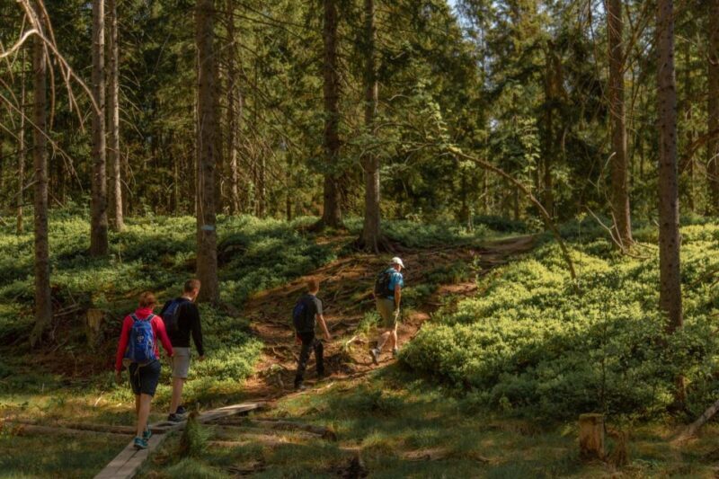 Oslo: Skjennungstoppen Wildlife Forest Hiking Tour - The Sum Up