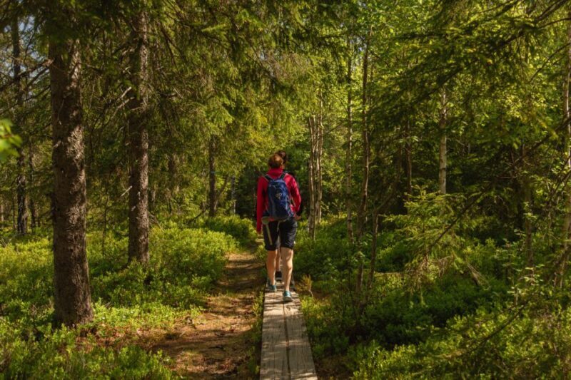 Oslo: Skjennungstoppen Wildlife Forest Hiking Tour - FAQ