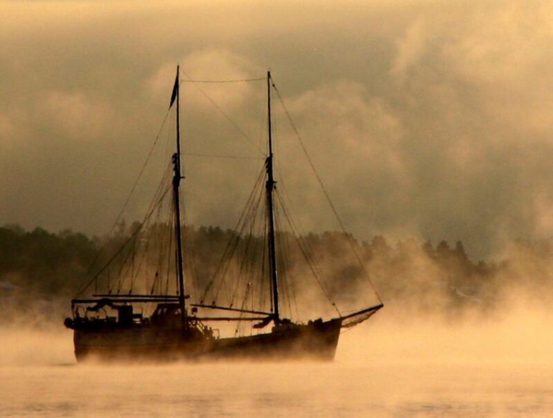 Oslo: Skyline in Winter With Fish Soup Cruise - Why This Tour Adds Value