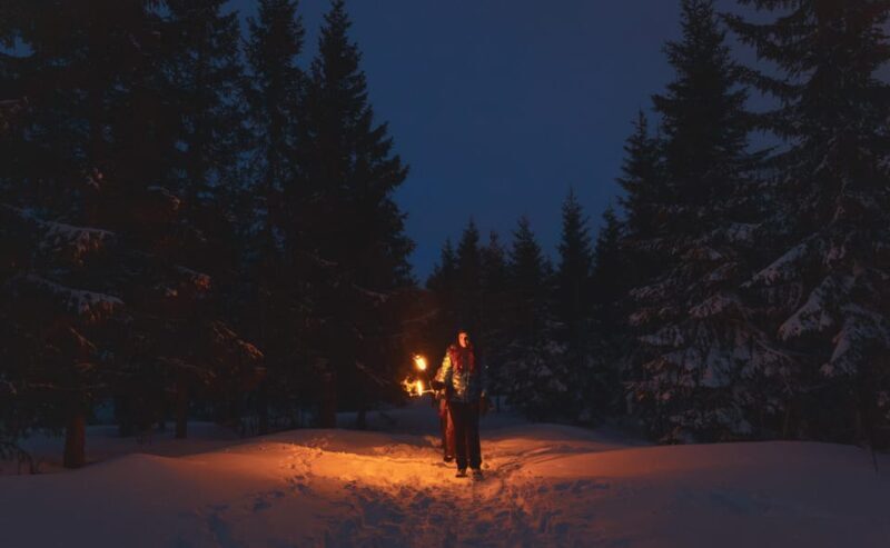 Oslo: Snowy Forest Torchlight Walk with Campfire - An In-Depth Look at the Experience