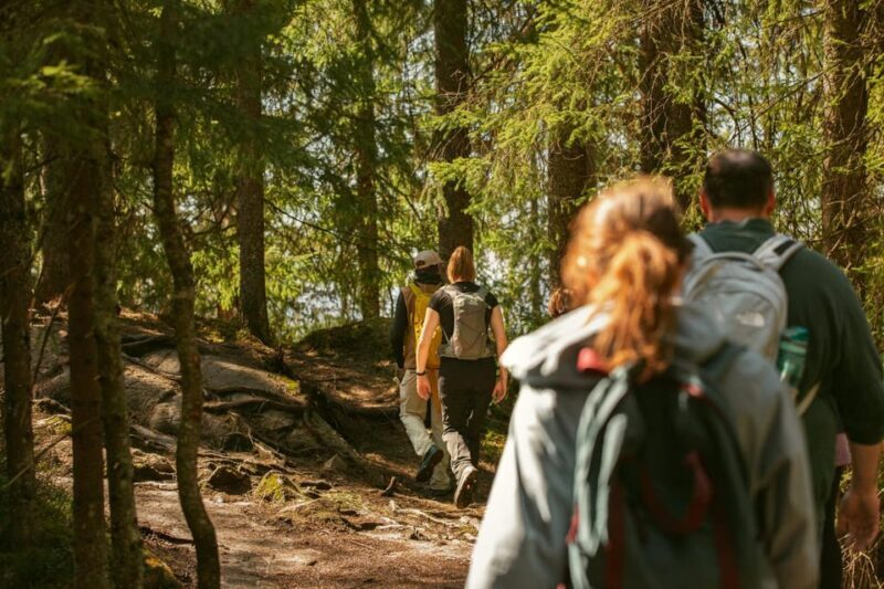 Oslo: The Spectacular Holmenkollen Walk - Introduction