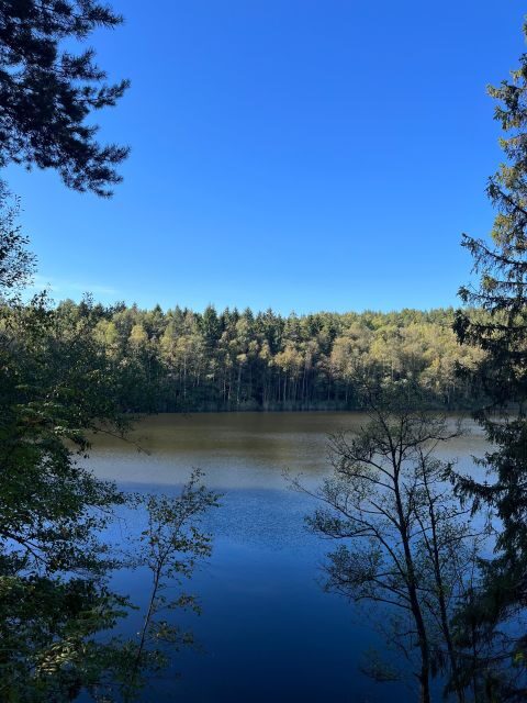 Oslo: Yoga & Hiking with a dog - Introduction to the Experience