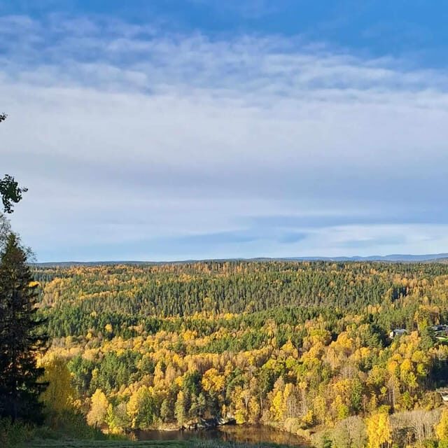 Oslo: Yoga & Hiking with a dog - What Makes This Tour Special?