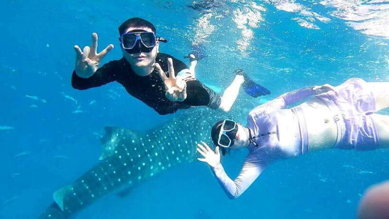 Oslob Cebu: Whale Shark Watching Day Tour - Context: Visiting Cebu and Oslob