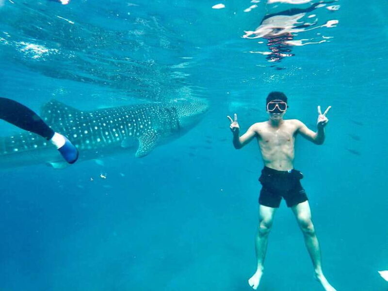 Oslob Whale Shark Direct - Exploring Cebu with the Oslob Whale Shark Direct Tour