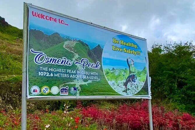 Oslob Whale Shark Snorkeling & Tumalog Falls with Osmeña Peak - How the Experience Shaped Up